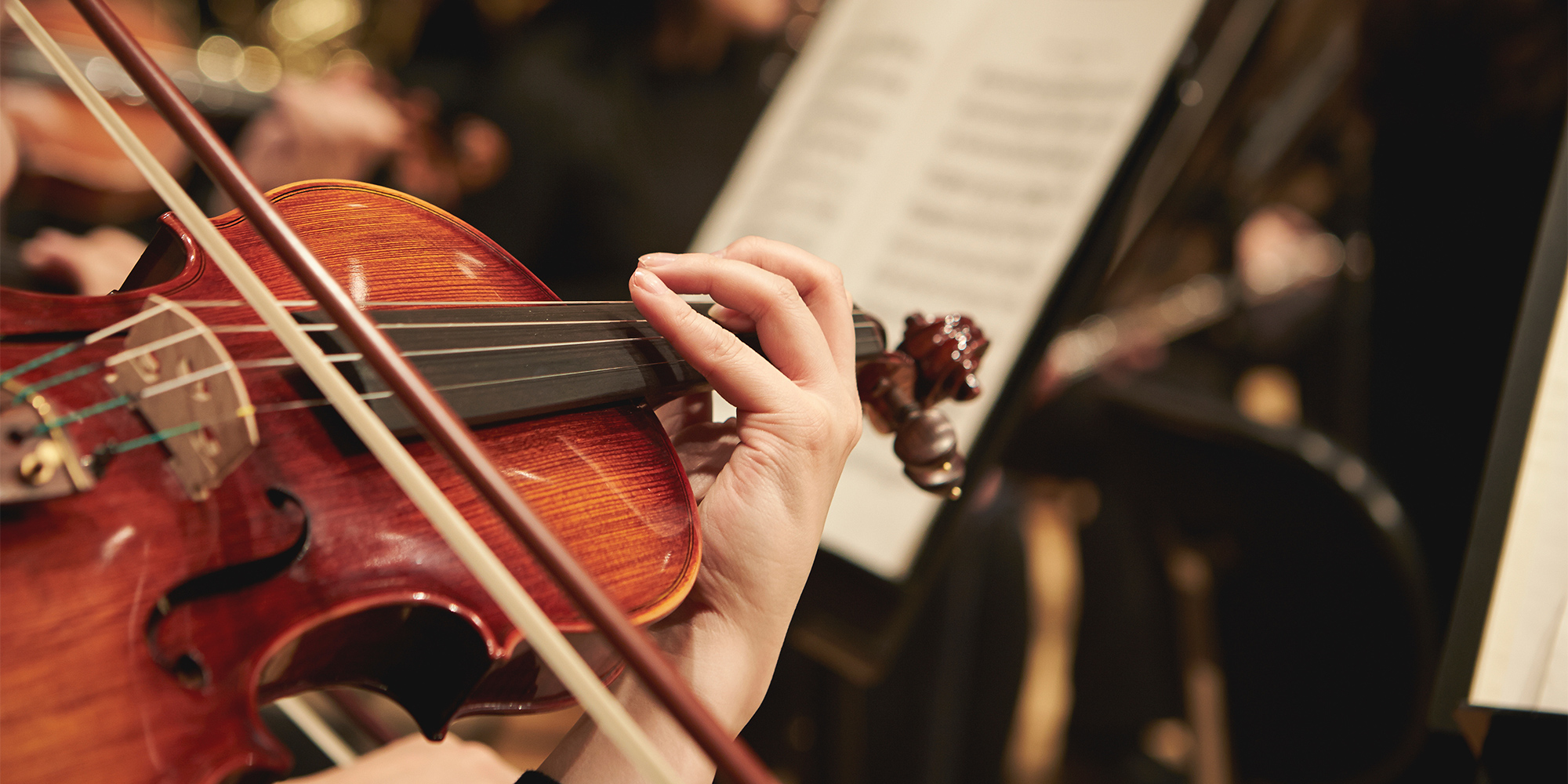 Le programme Violon 2026 - Prodige Art